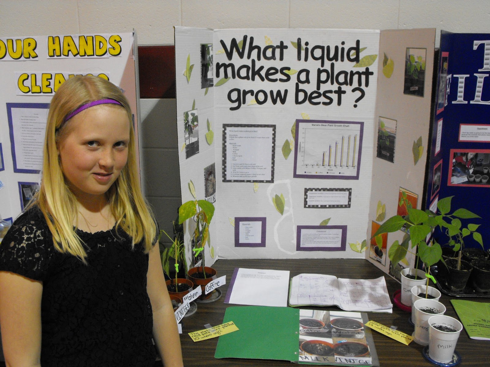 Community Christian School Drayton: Science Fair 2013
