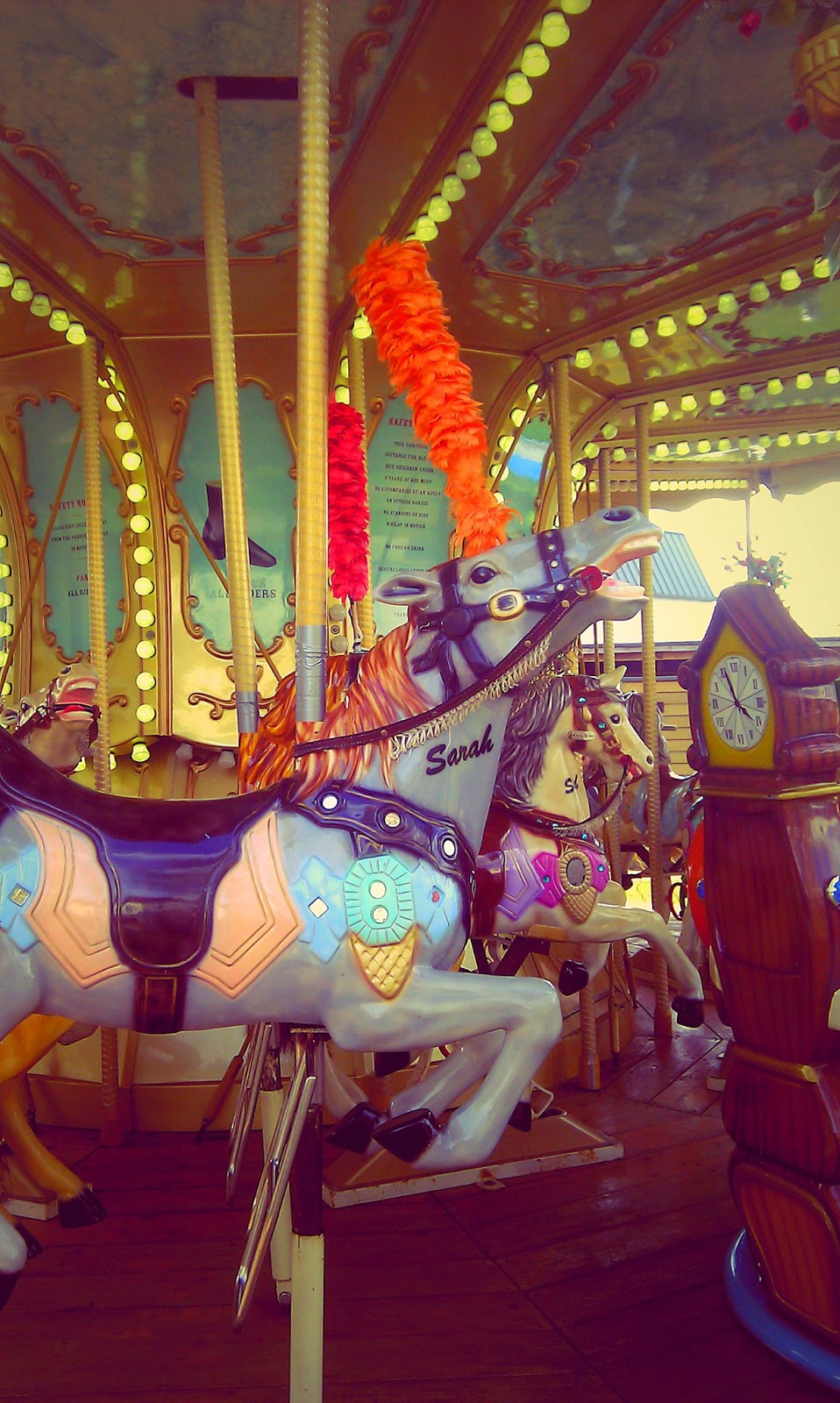 The Bird's Nest: Craft share - Carousel