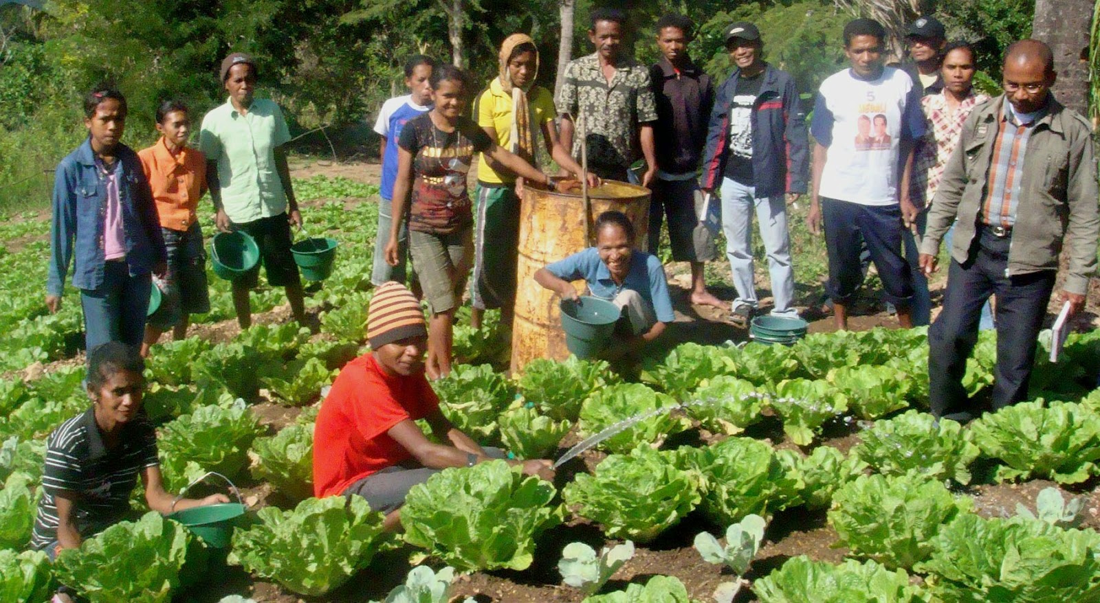 GAMBAR PERTANIAN AGRIBISNIS ~ AGRIBISNIS