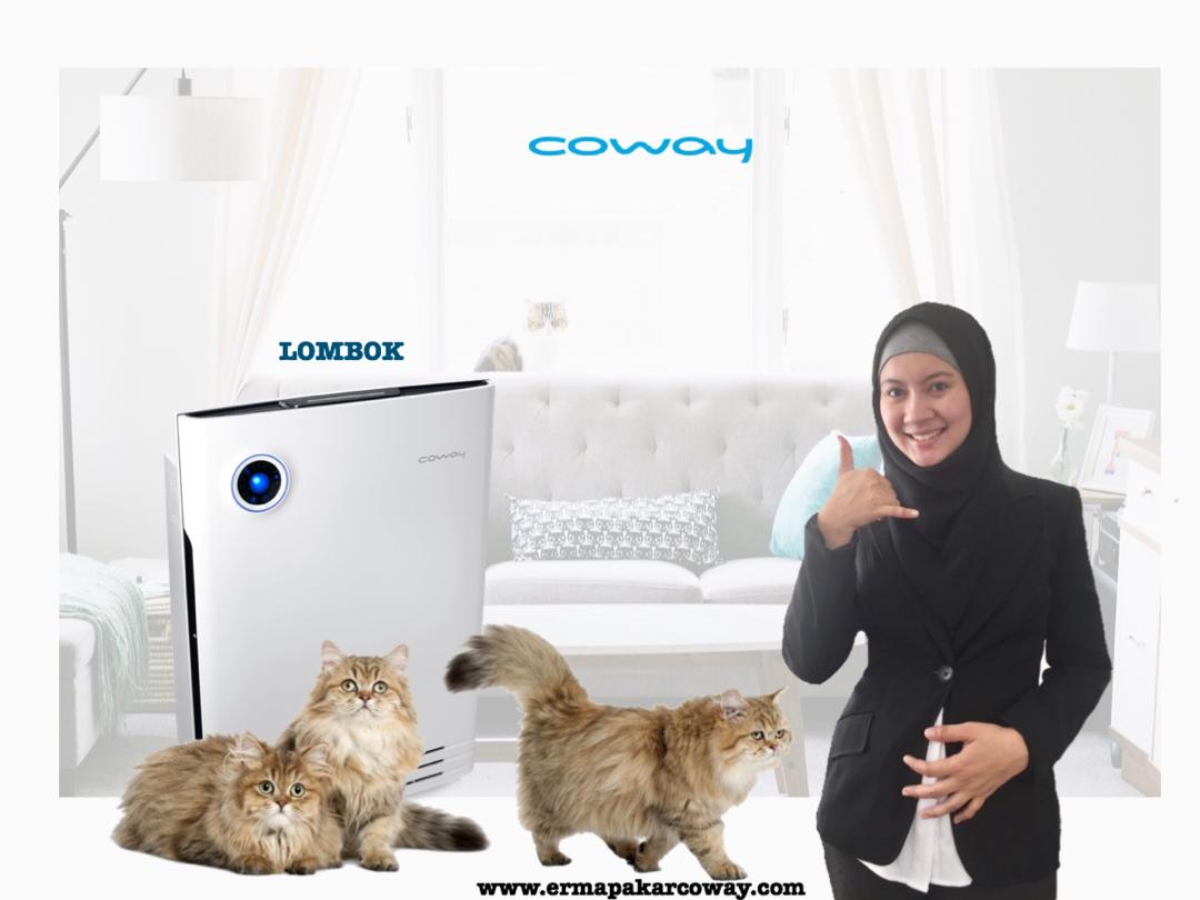 Erma Pakar Coway: Hilangkan Bau Najis Kucing Dan Bulu Kucing