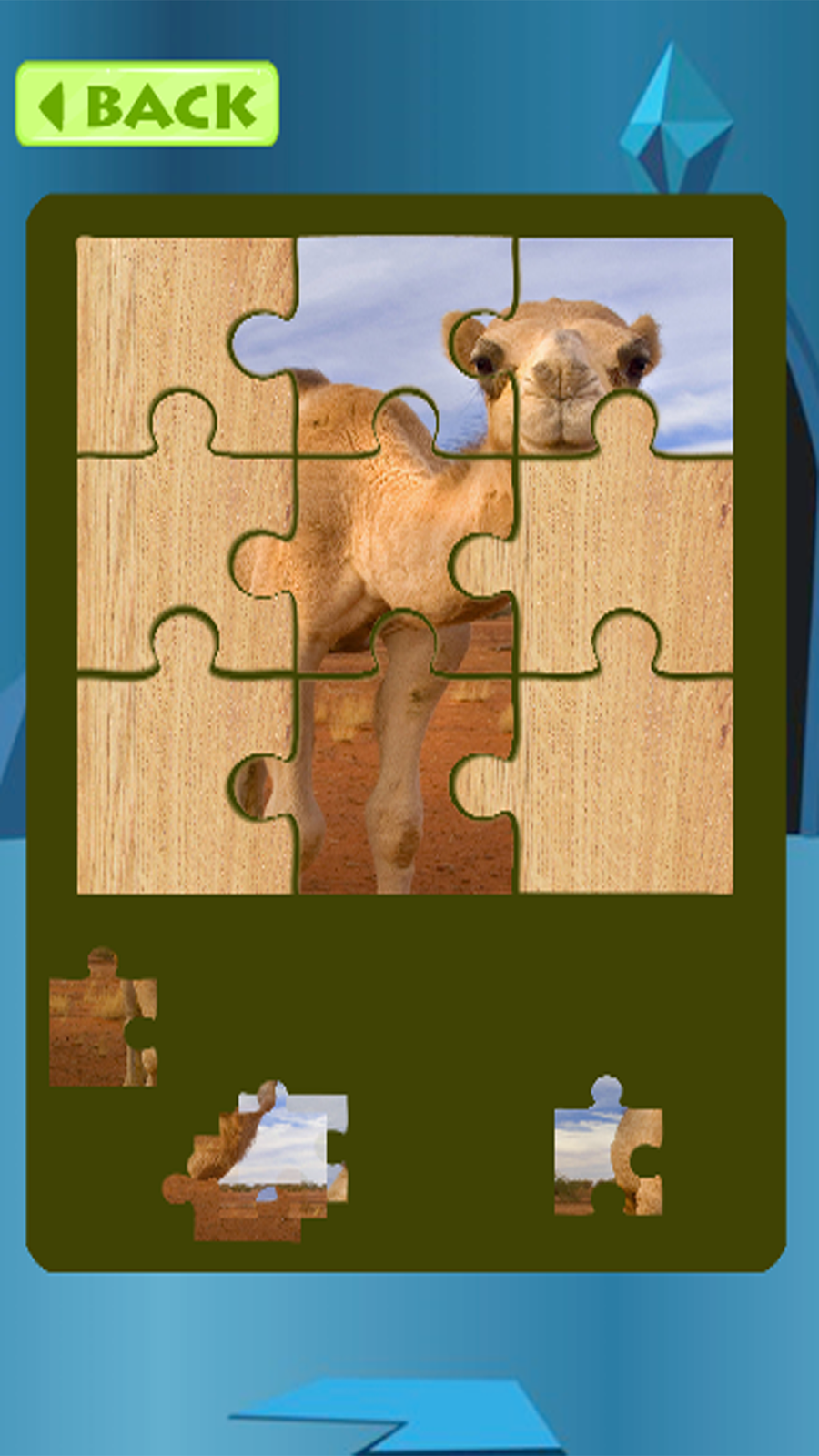 Camel Puzzle Jigsaw Games For Kids Education