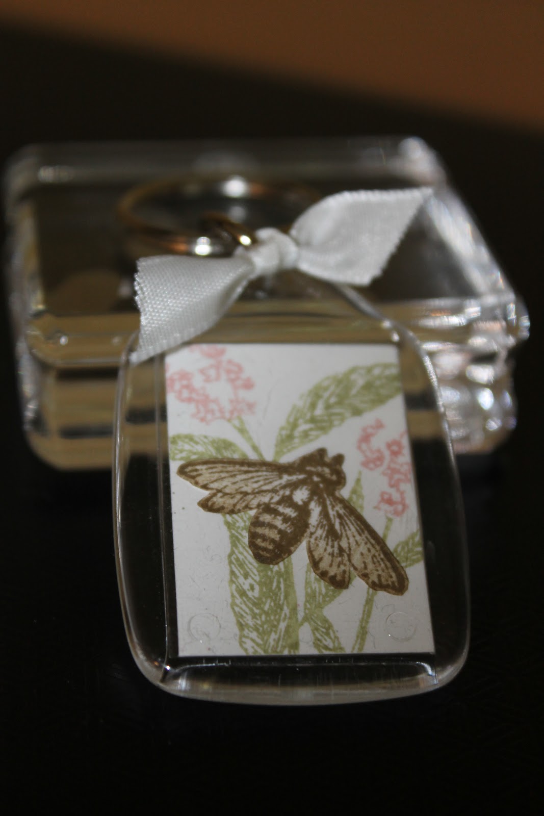 Narelle Hodges-Independent Stampin' Up!® Demonstrator: Nature Walk ...