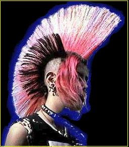 Hairstyles Design For Men Haircuts: Punk Hair Style and Haircut Pictures
