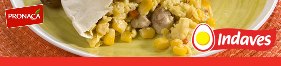 EMPRESA PRONACA: HISTORIA