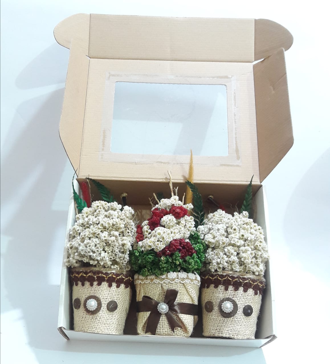 3 Bunga Edelweiss Pot In Box Eksklusif - Bunga Edelweis Gift & Souvenir ...