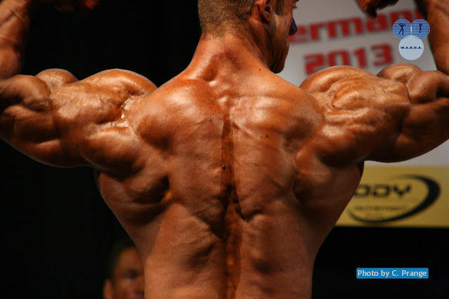 Muscle Lover: Hungarian bodybuilder Ferenc Kovacs