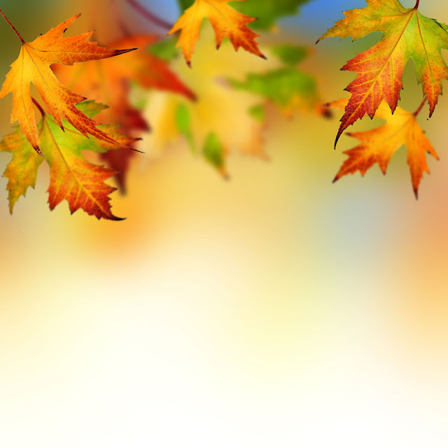 autumn leaves background border - best wallpaper borders