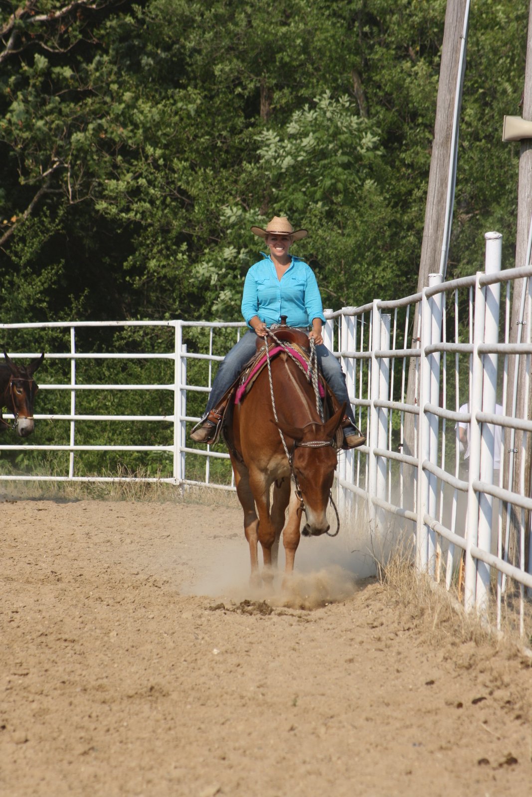 PairADice Mules: Western Pleasure