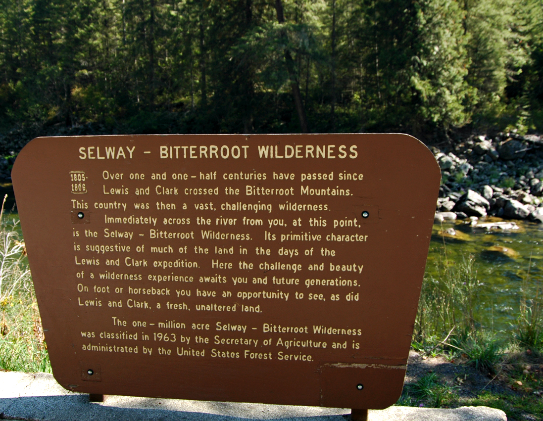 ReedWrites: "F" is for Father (and a poem about flying with family in ...