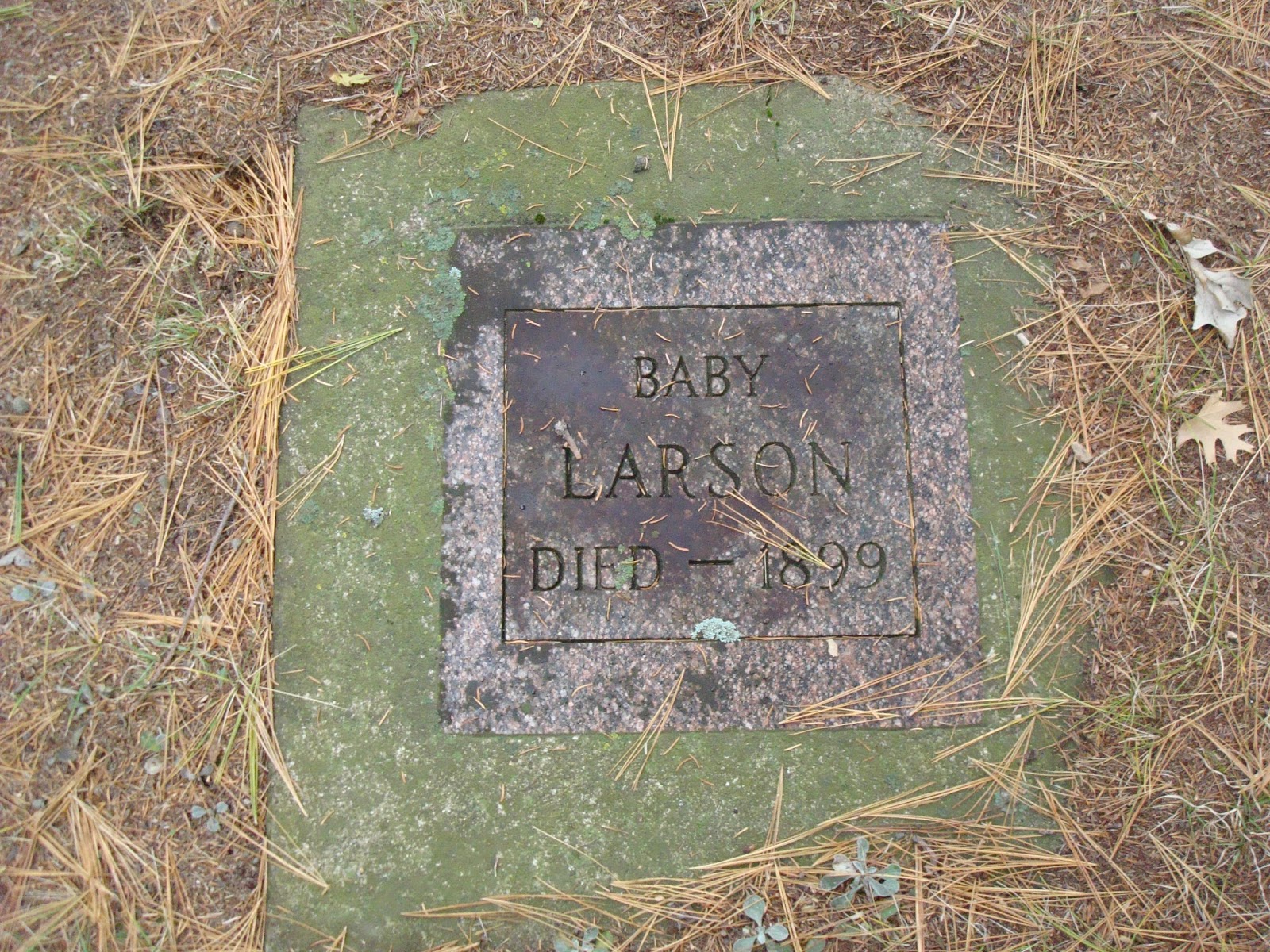 Minnesota Cemeteries: Darling Cemetery Children (Morrison County) Minnesota