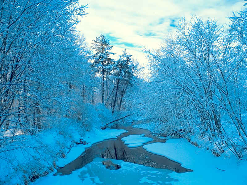 Good Wallpapers - H D Photos: Netural Beauty