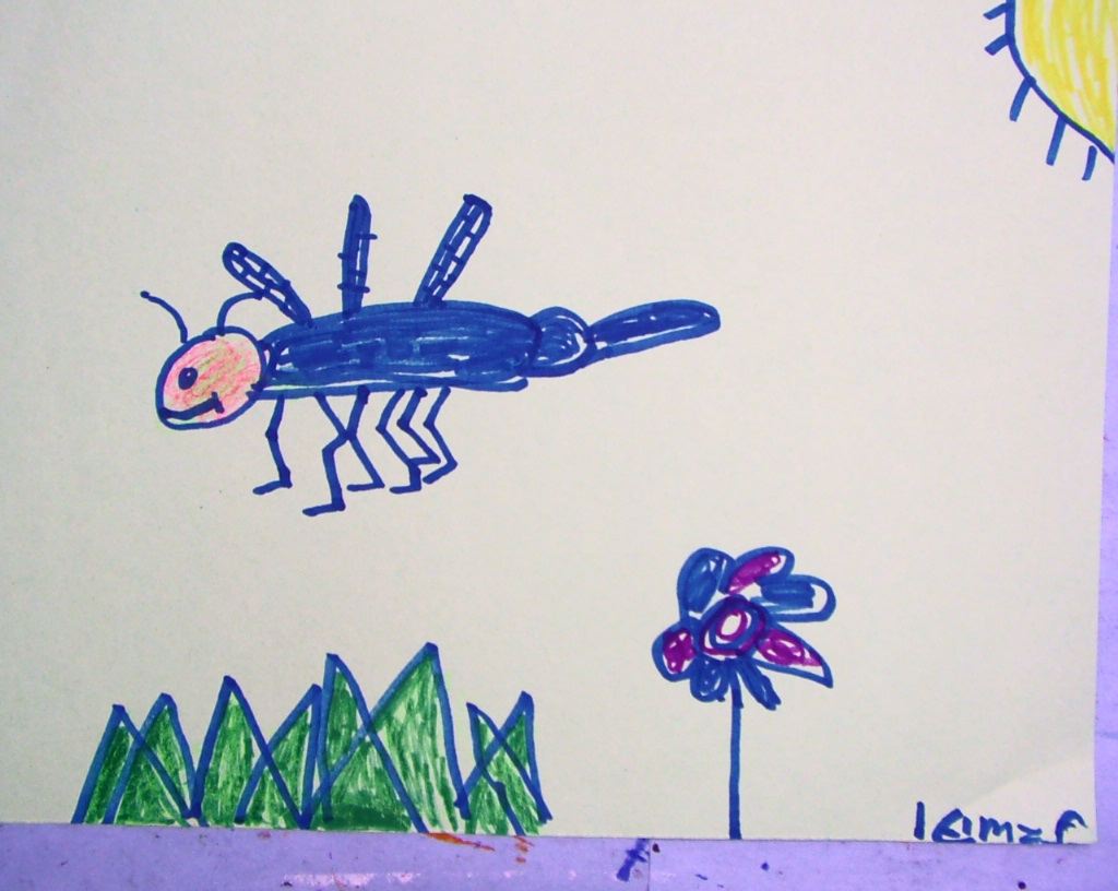 Primary Art: dragonflies