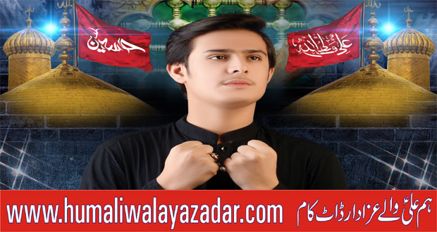 Syed Ali Hyder Rizvi Nohay 2019 - hum ali walay azadar