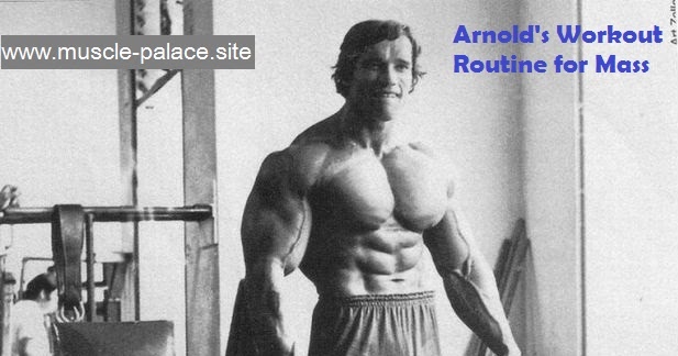 Muscle Palace: Arnold's Workout Routine for Mass