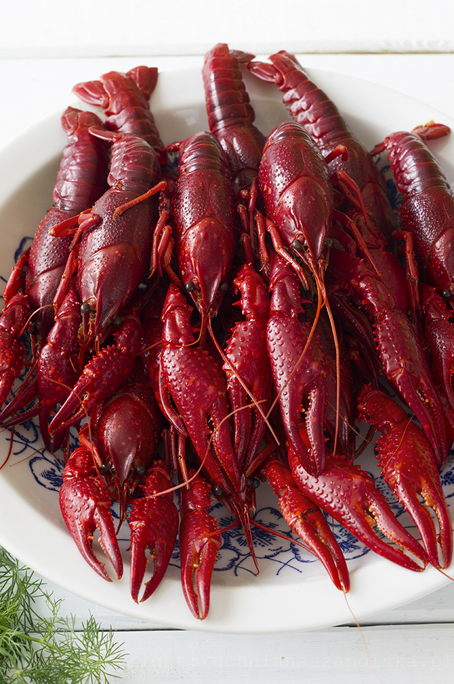 Zupa rakowa, masło rakowe. Jak gotować raki? | Kuchnia nasza polska ...