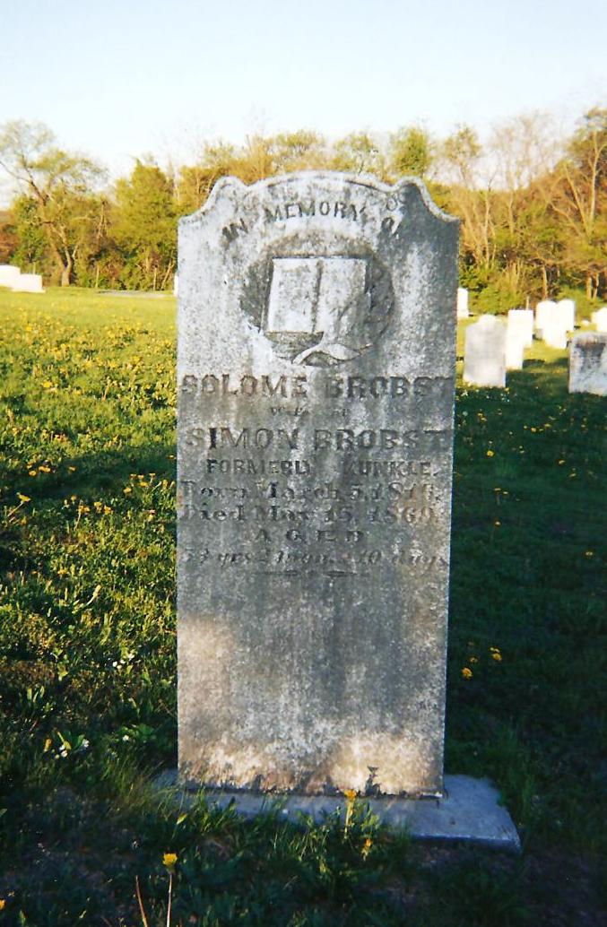 The 48th Pennsylvania Volunteer Infantry: The Civil War Sacrifice of ...