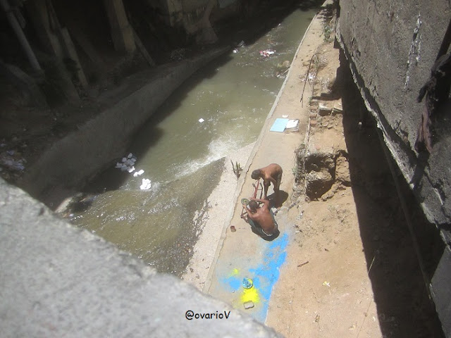 @ovarioV: FOTOS #2Agosto - La Calle Grita II