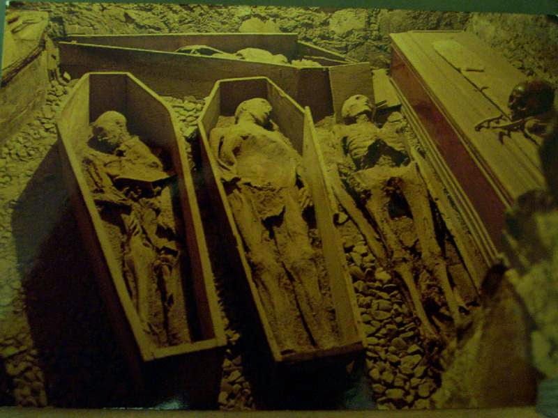 vegetarian in a leather jacket: St. Michan's Church, Dublin, Dublin ...