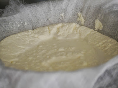 A Peek into My Kitchen: Homemade Ricotta Cheese