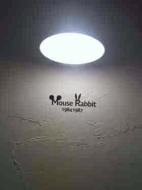 Super Junior's Yesung: MOUSE RABBIT - ME IN SEOUL