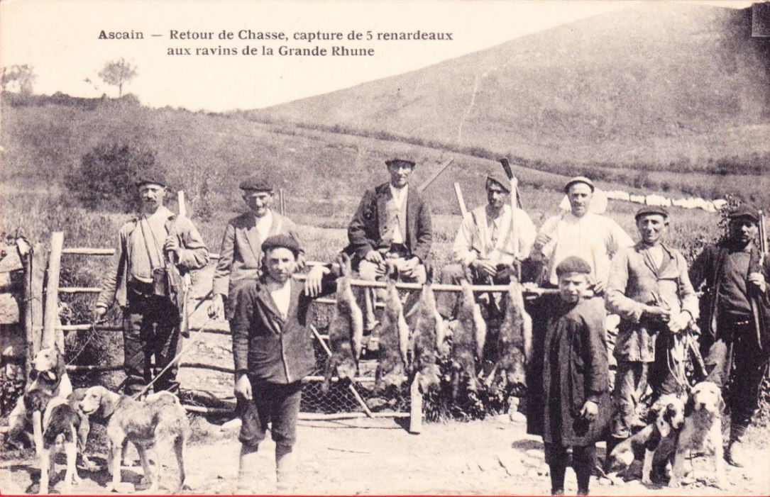 The Beret Project: Vintage Postcards from the (French) Basque Country ...