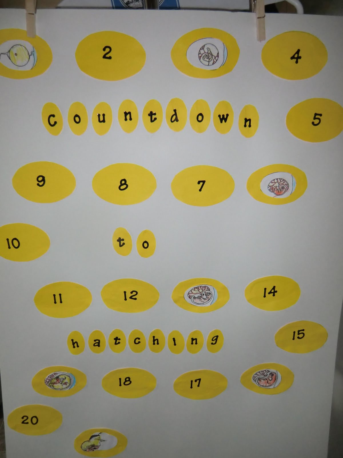 Sowing Mustard Seeds: Hatching Baby Chicks Unit Study