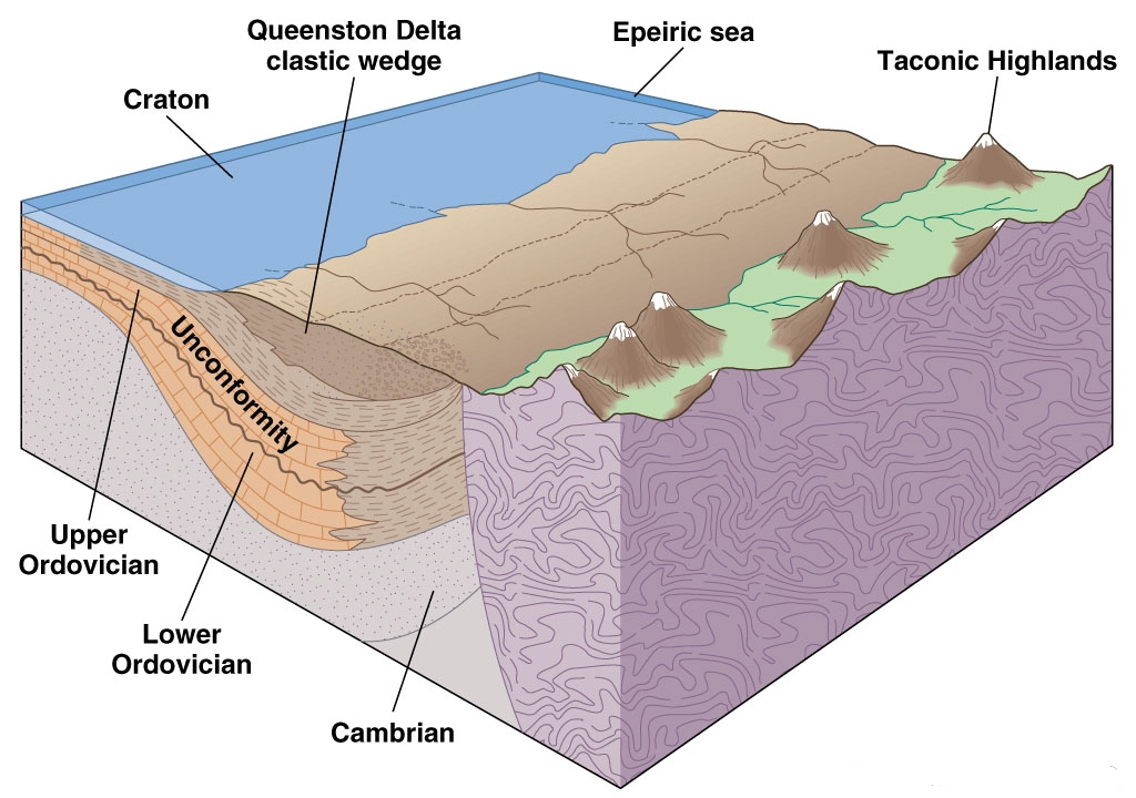 Written In Stone...seen through my lens: The Eurypterid "Eurypterus ...