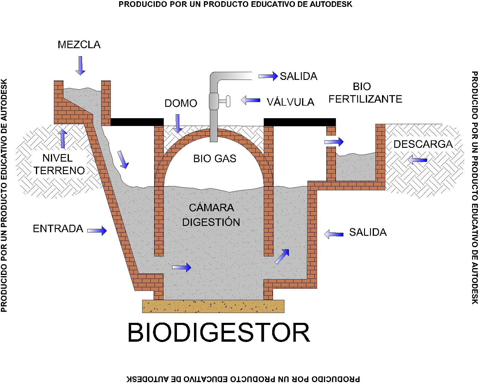 dibujo asistido ( autocad 2012 ): biodigestor
