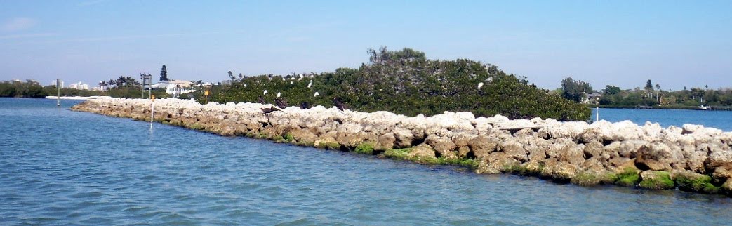 Southwest Florida Shoreline Studies: Littoral Society Tour on Carefree ...