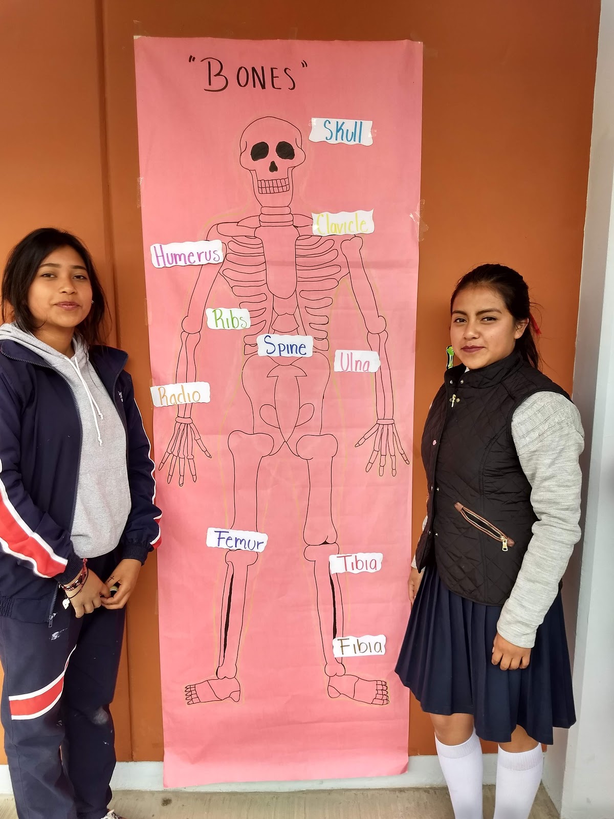 Blog Miss Isabel Cadena Arreola: Parts of the body!!