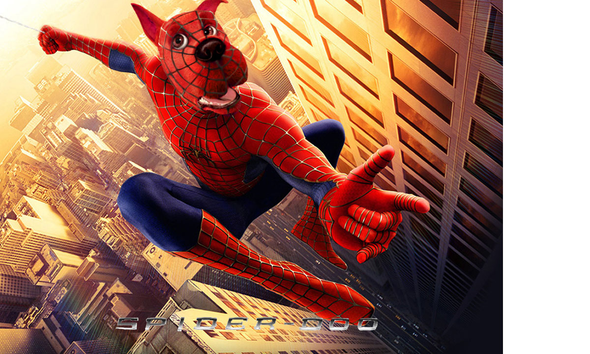 Computer Graphics: 2012