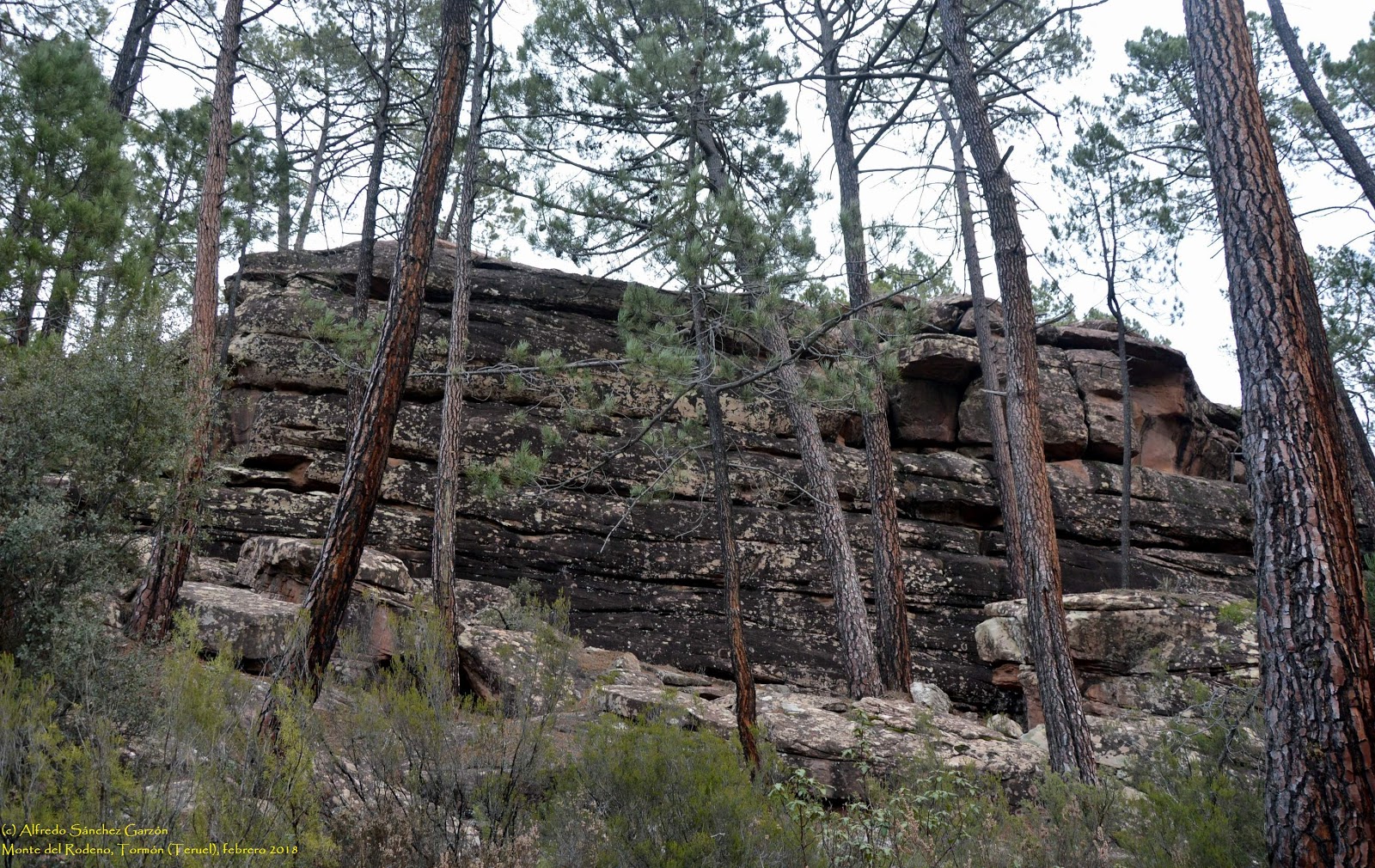DESDE EL RINCÓN DE ADEMUZ: PINTURAS RUPESTRES EN EL RODENO: ABRIGOS DEL ...