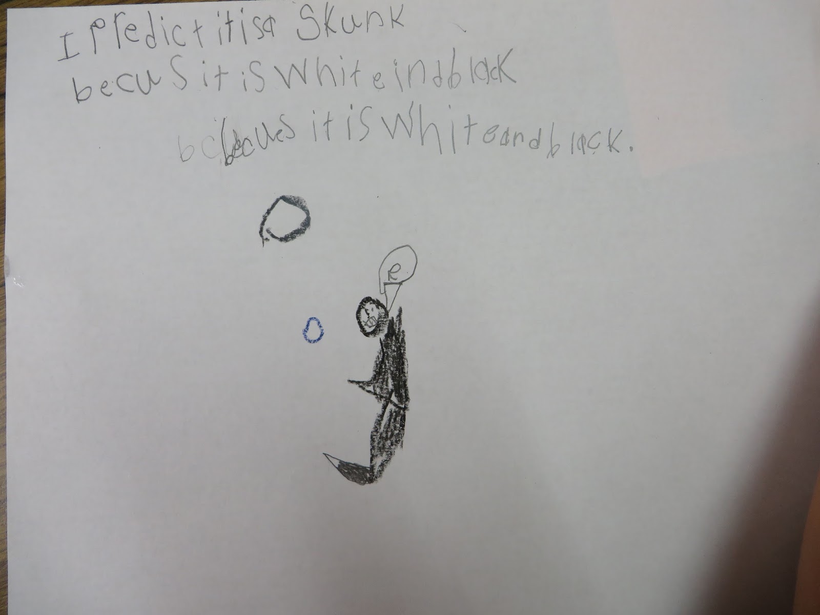 Mrs. Pirate Teacher: Making Predictions!