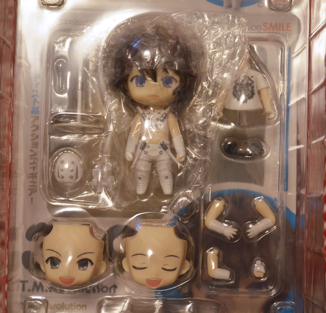 Pureneemo Diaries: Witch in the Snow and Nendoroid 369