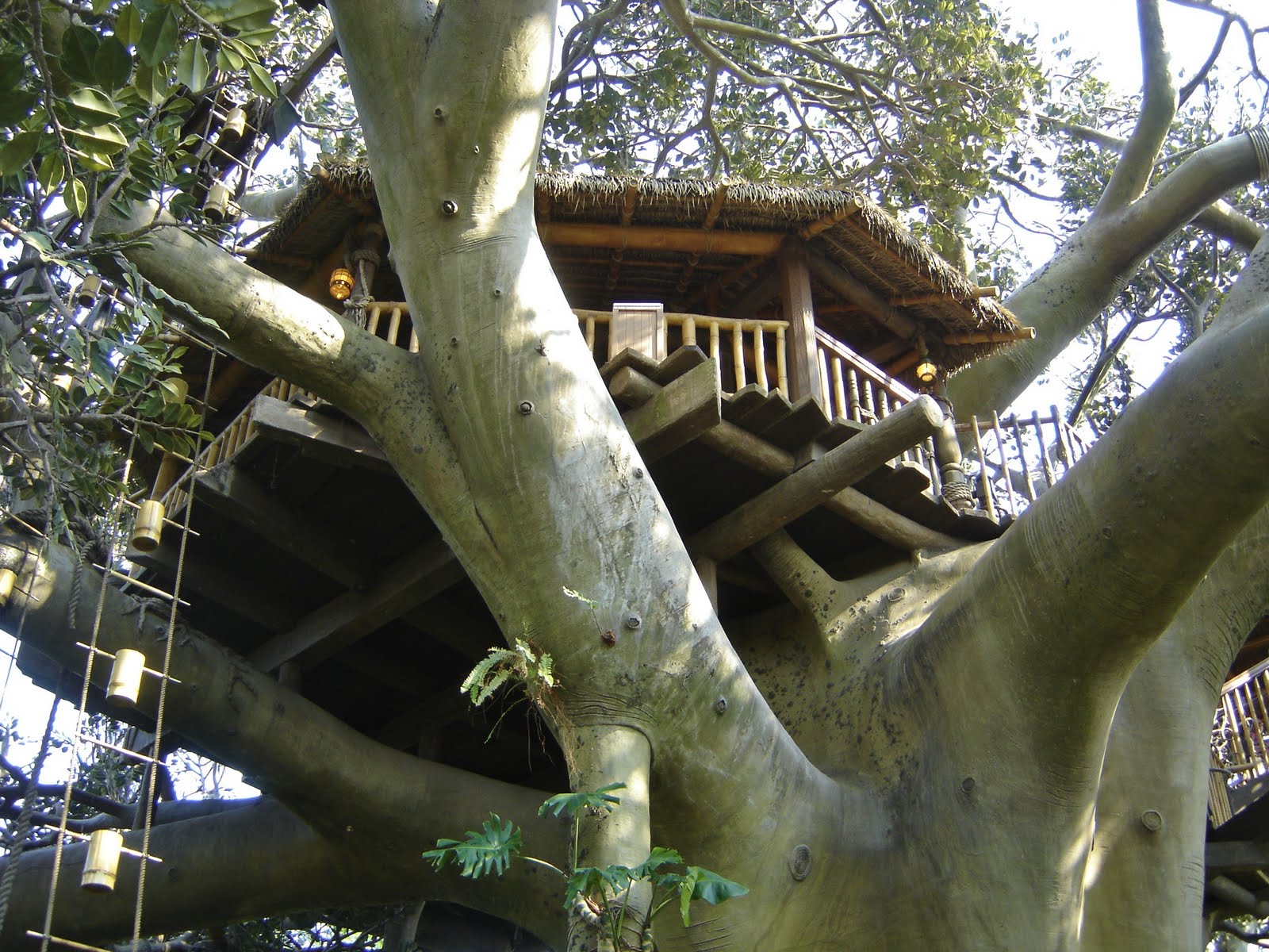 Disney Vacation Kingdom: Swiss Family Robinson Treehouse