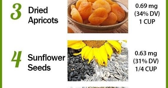 Univers Santé: Les aliments riches en cuivre