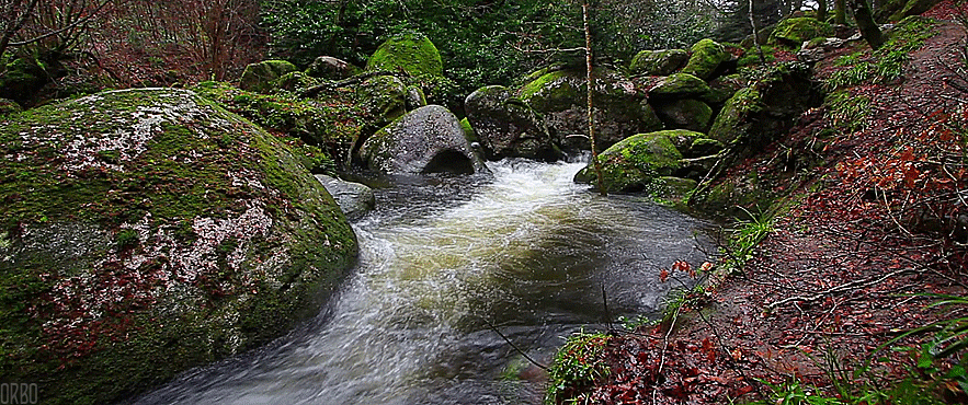 Practicas: Tutoriales Scratch