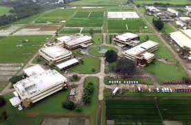 THE GLOBAL AGRICULTURE: IRRI: The International Rice Research Institute