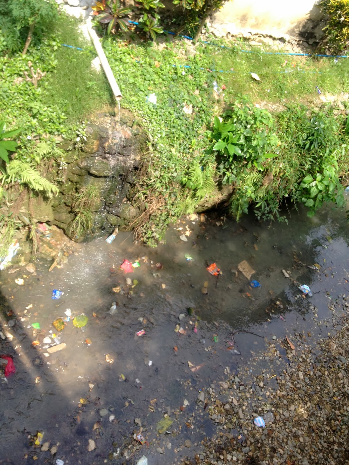 Environmental Chemistry: Water Pollution of Brgy.Lahug at Cebu City