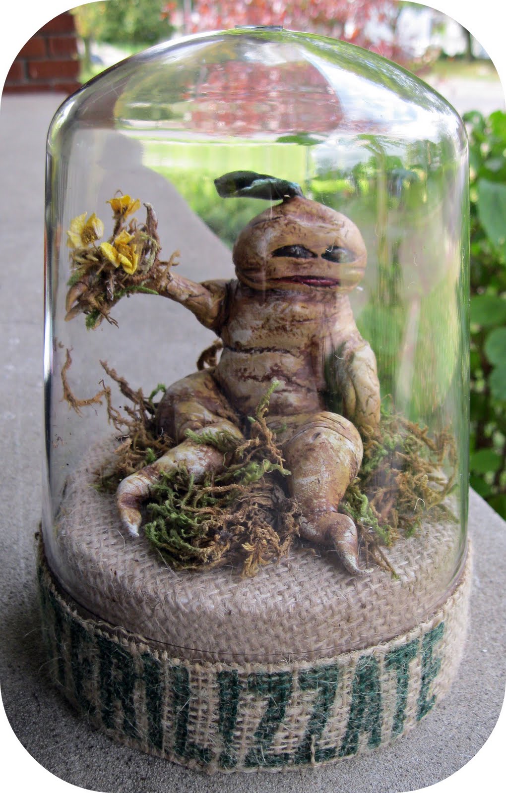 ...Make It With Me: How to (Make) Pick a Mandrake Root and Live to Tell ...