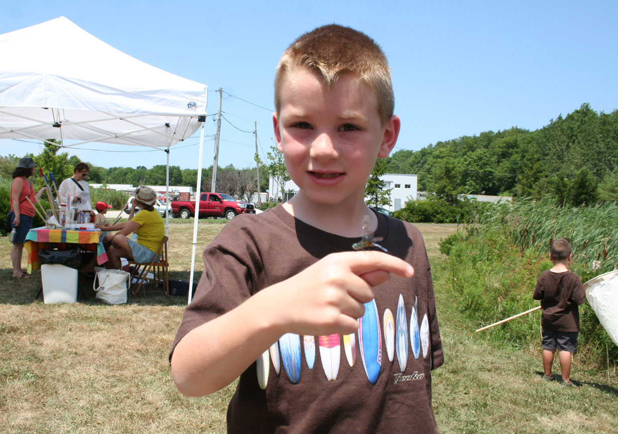 Dragonfly Dazed: Annual Dragonfly Day for Families and Nature Lovers