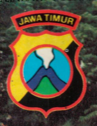 tjah 3alerejo: polda jatim dan organisasi