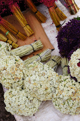 Edelweis Bromo - my journey to love more...my stories to be happy...