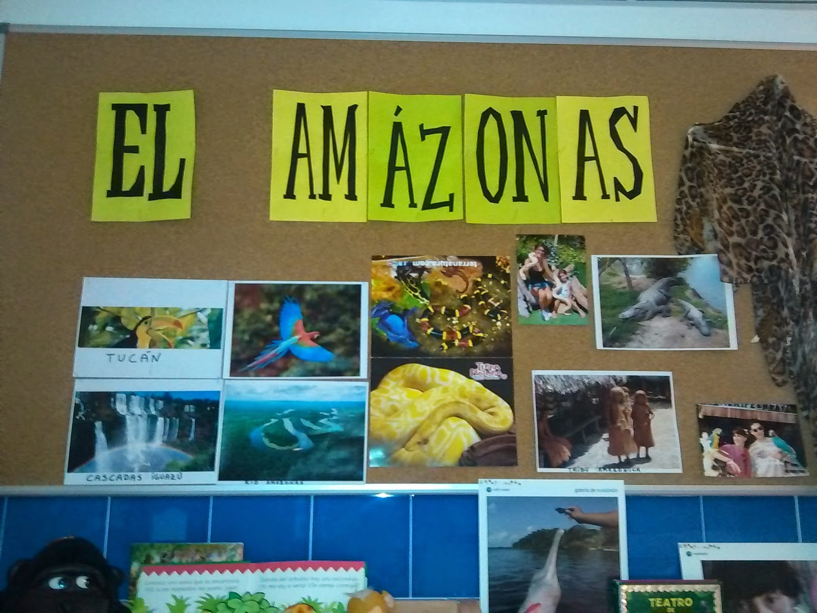 Paso a paso por Infantil: LA SELVA AMAZÓNICA