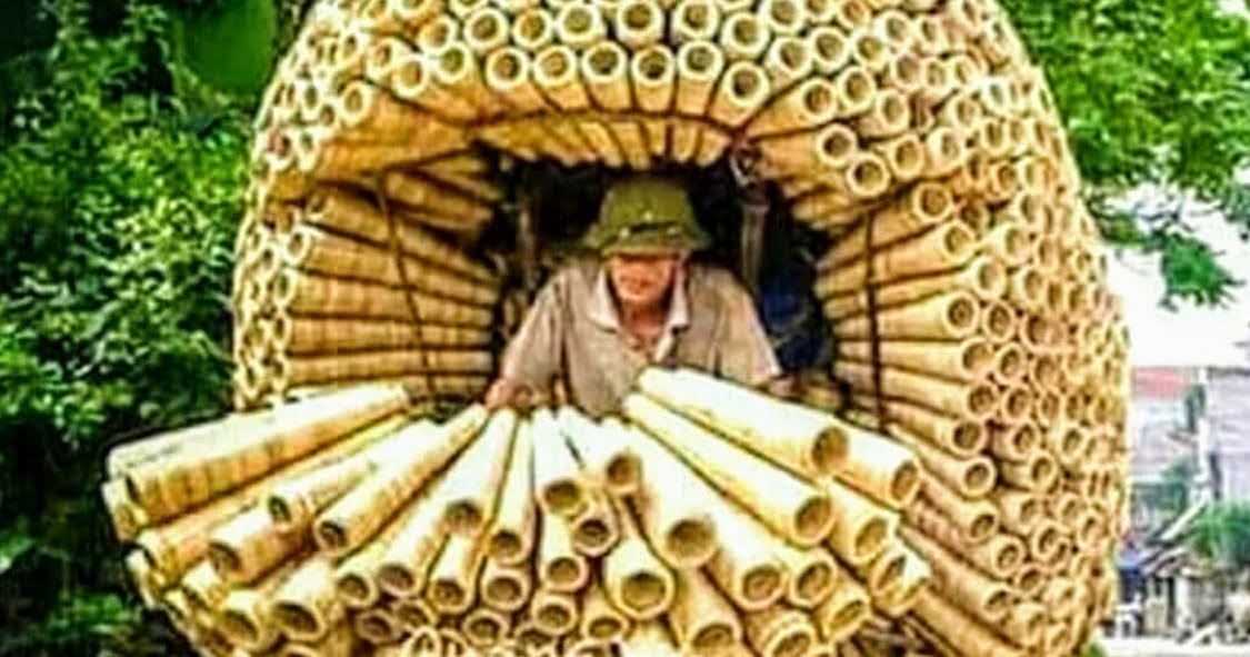 mollie's mom: Bamboo Friday: Too Much?