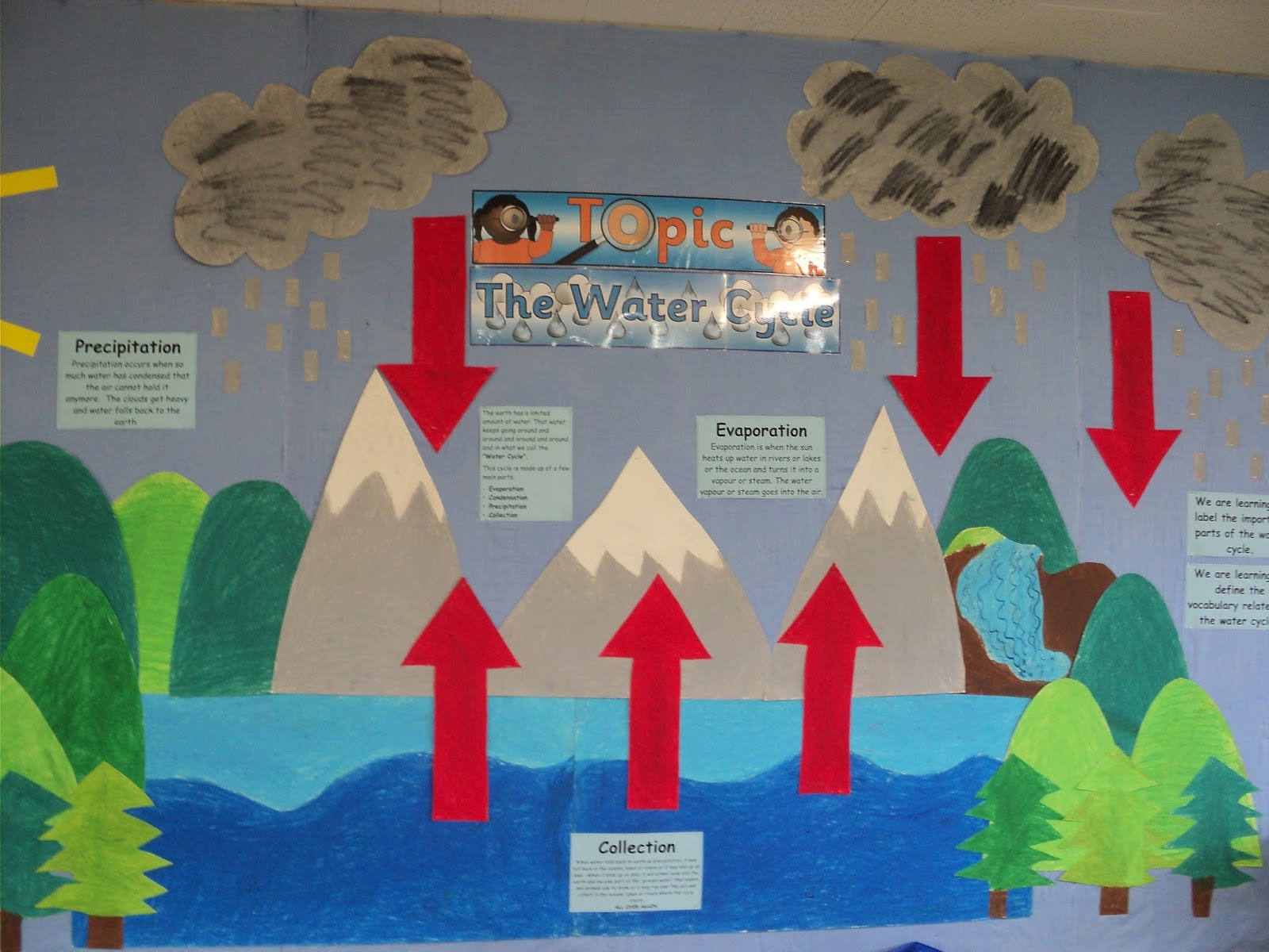 Room 15 Sunnybrae Normal School : The Water Cycle