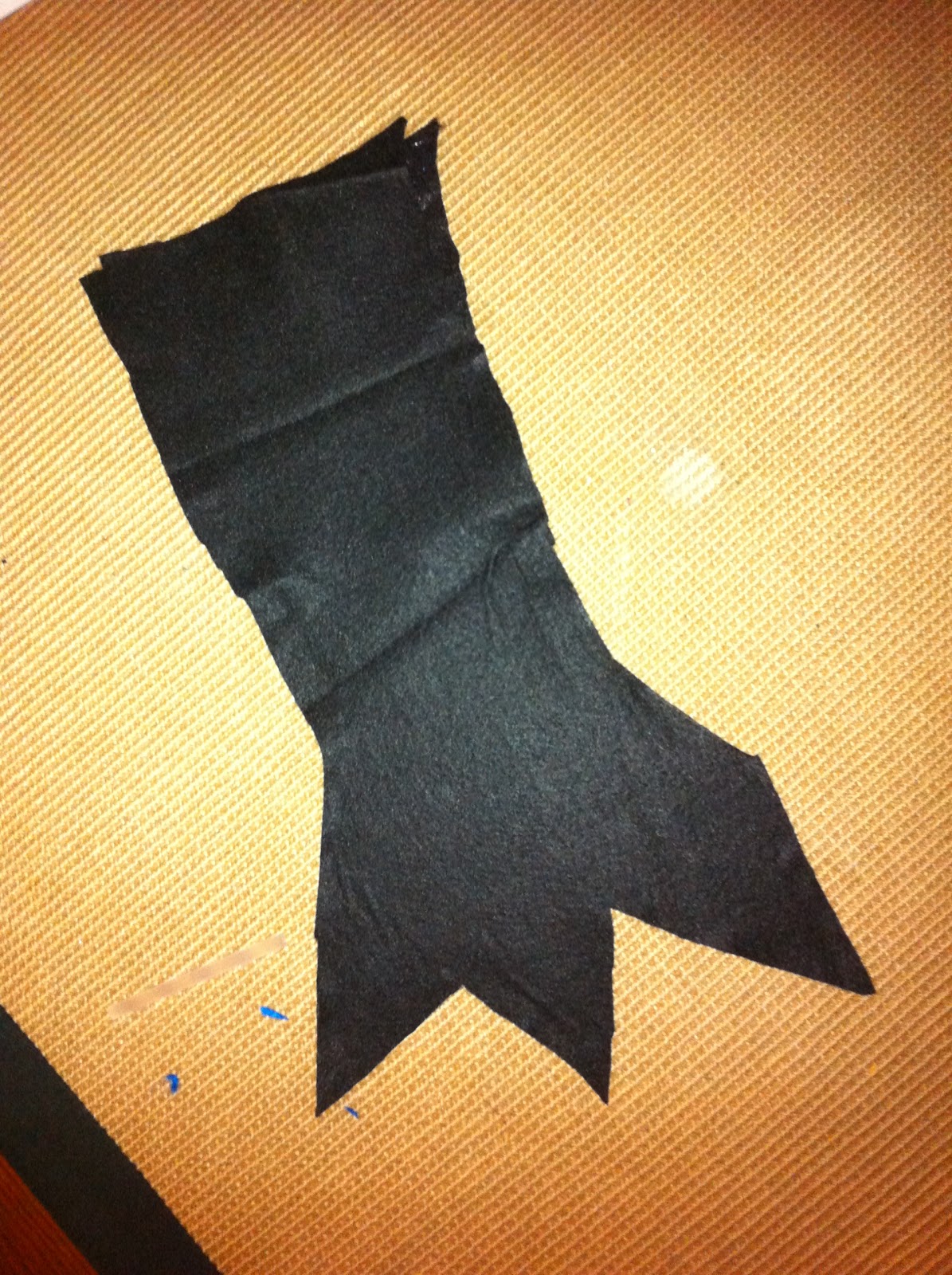 26 east: The Making of A Blue Jay