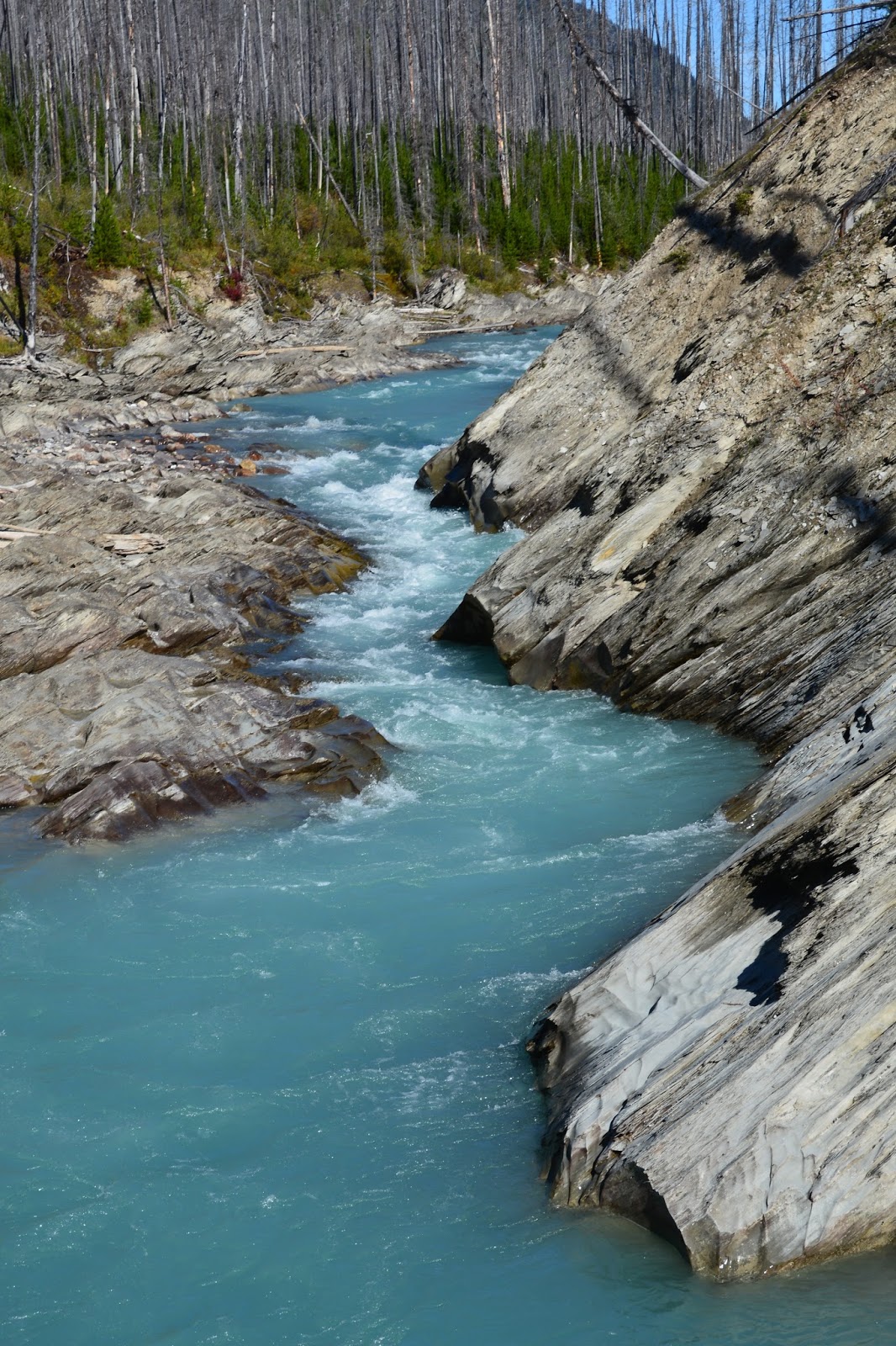 venturing4th: Rockwall - Floe Lake Trail