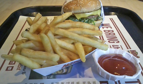 Richard Reviews Everything : The Habit Burger Grill French Fries