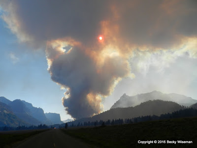 kinexxions: Glacier National Park : Fire!